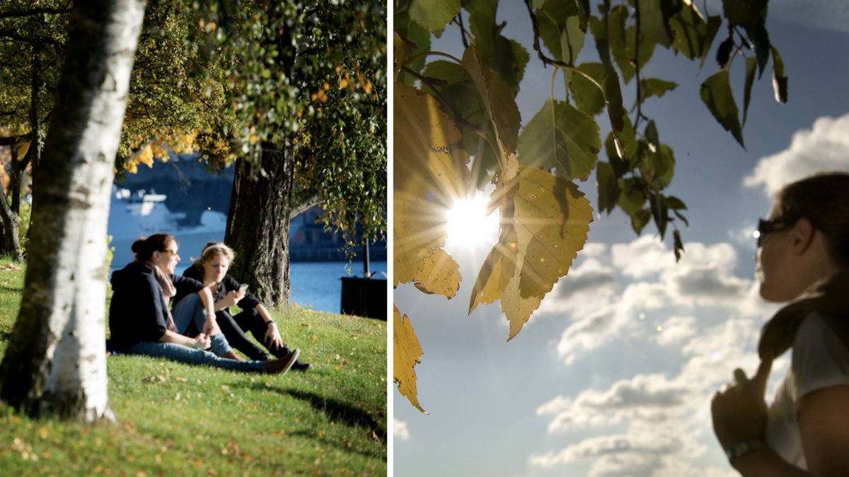 Ovanliga temperaturer väntas till helgen: "Dubbelt så varmt"
