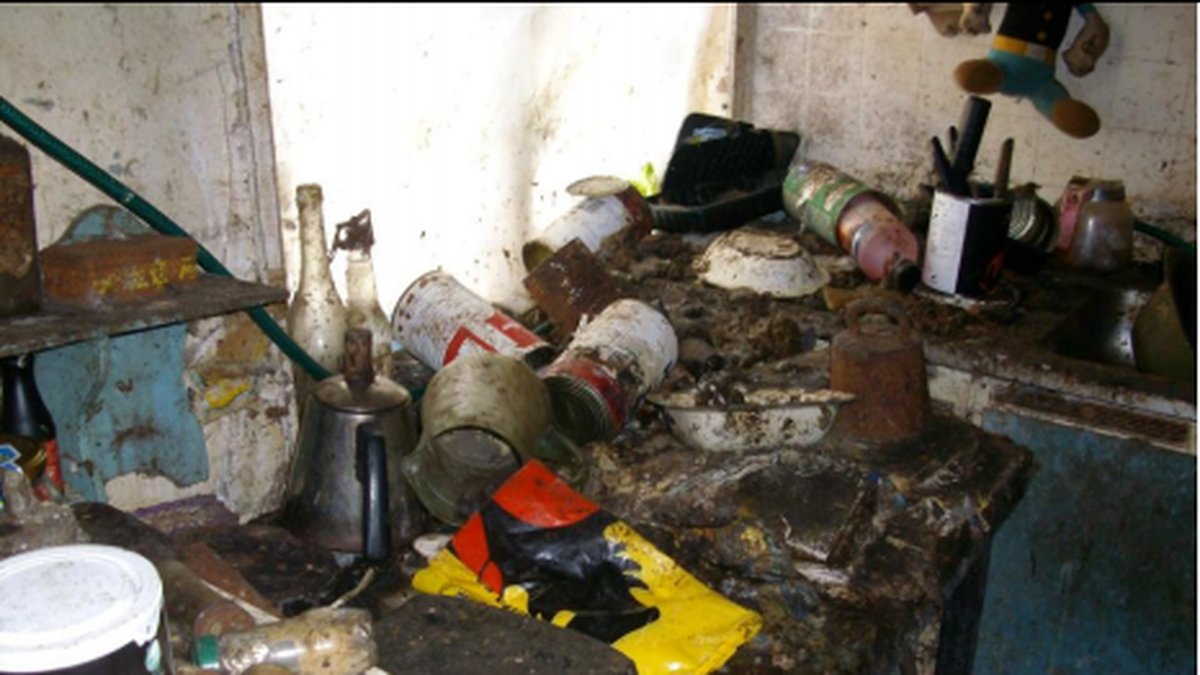 Djuren levde i mängder av smuts och avföring