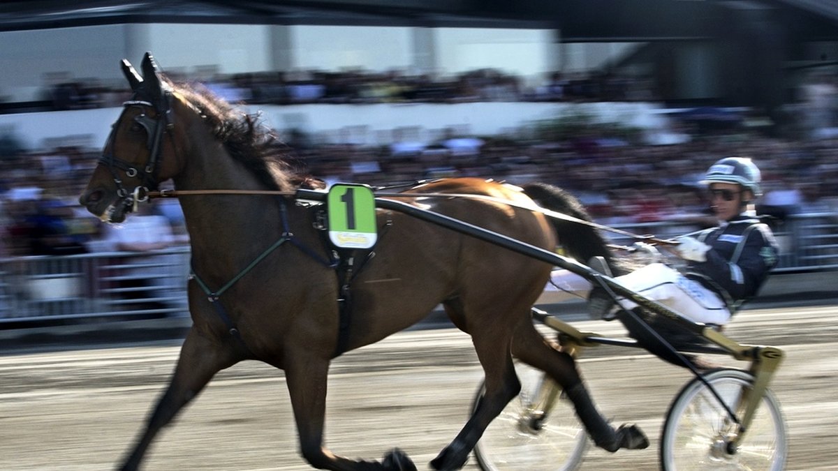 Stjärnhästen Victory Tilly död