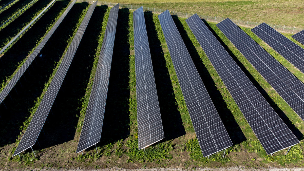 Rekordmånga vill anlägga solcellsparker