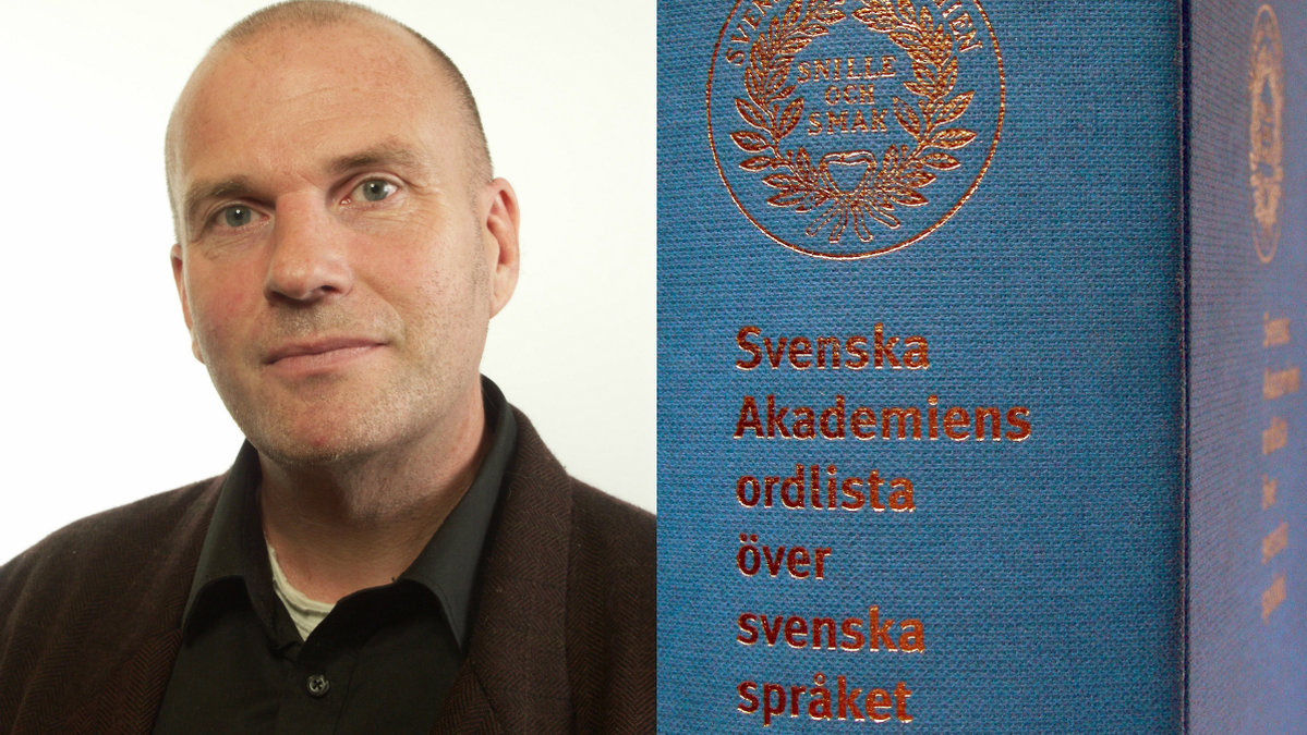 SD: Här är orden vi vill förbjuda – och de vi vill ha kvar