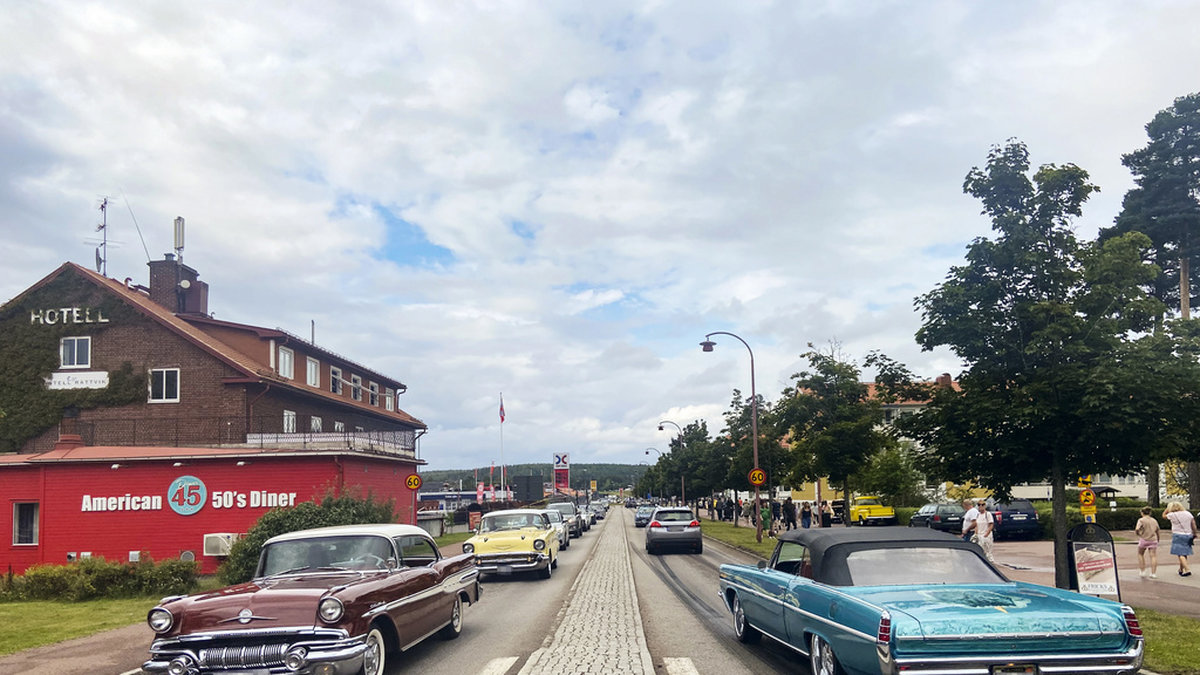 Bildeal i EU – ”Mucka inte med raggarna”