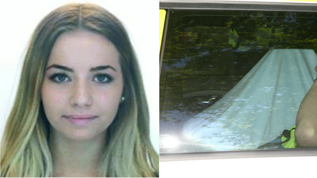 Därför överklagar Lisa Holms misstänkte mördare häktningen