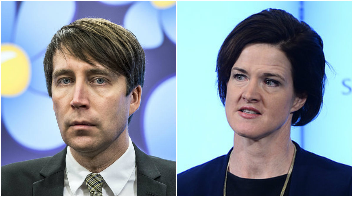 Moderaterna vill fälla regeringen – här är Sverigedemokraternas krav