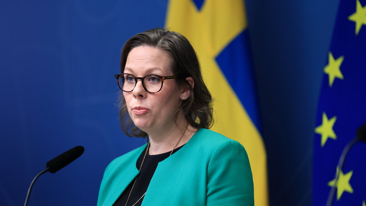 Regeringen och SD vill inrätta återvändandecenter