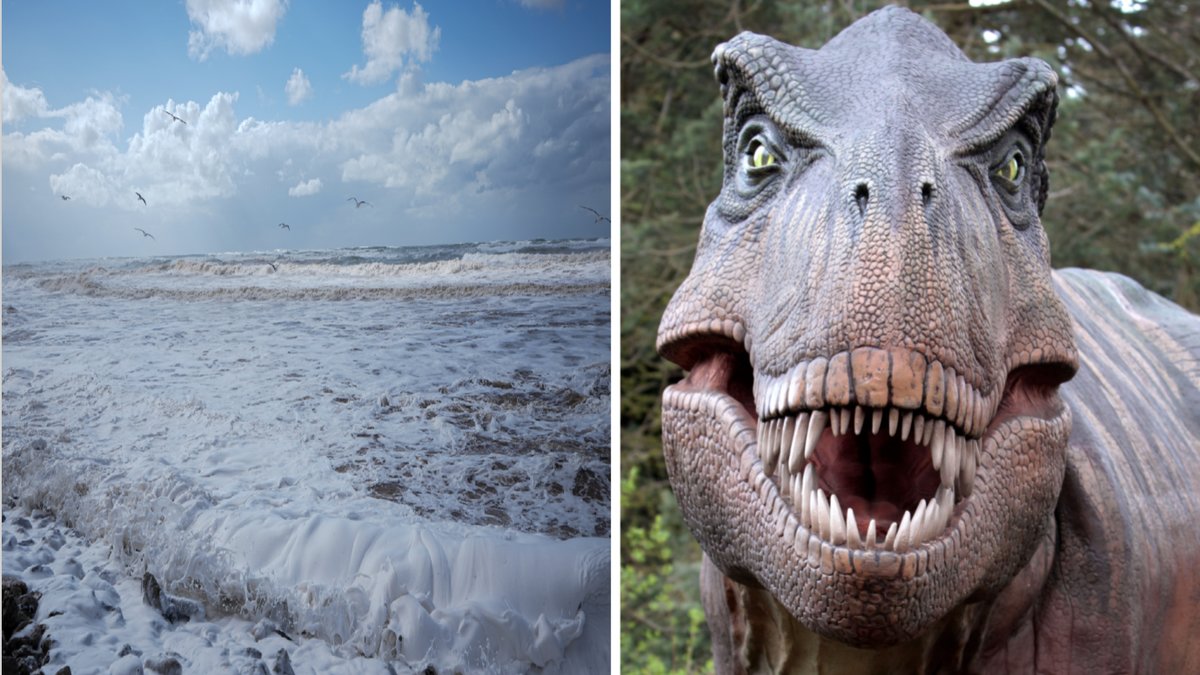 Nu är det klart – dinosaurierna dog av enorm tsunami: "4 500 meter"