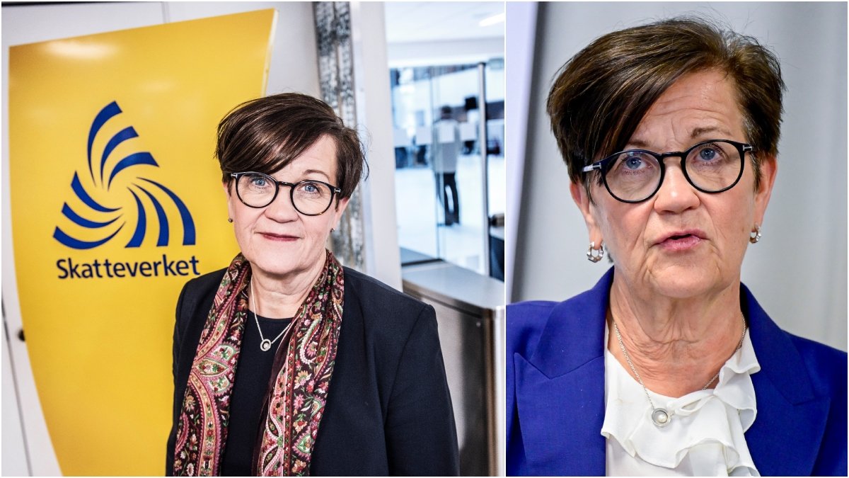 Allt om Katrin Westling Palm: Skatteverket och lön