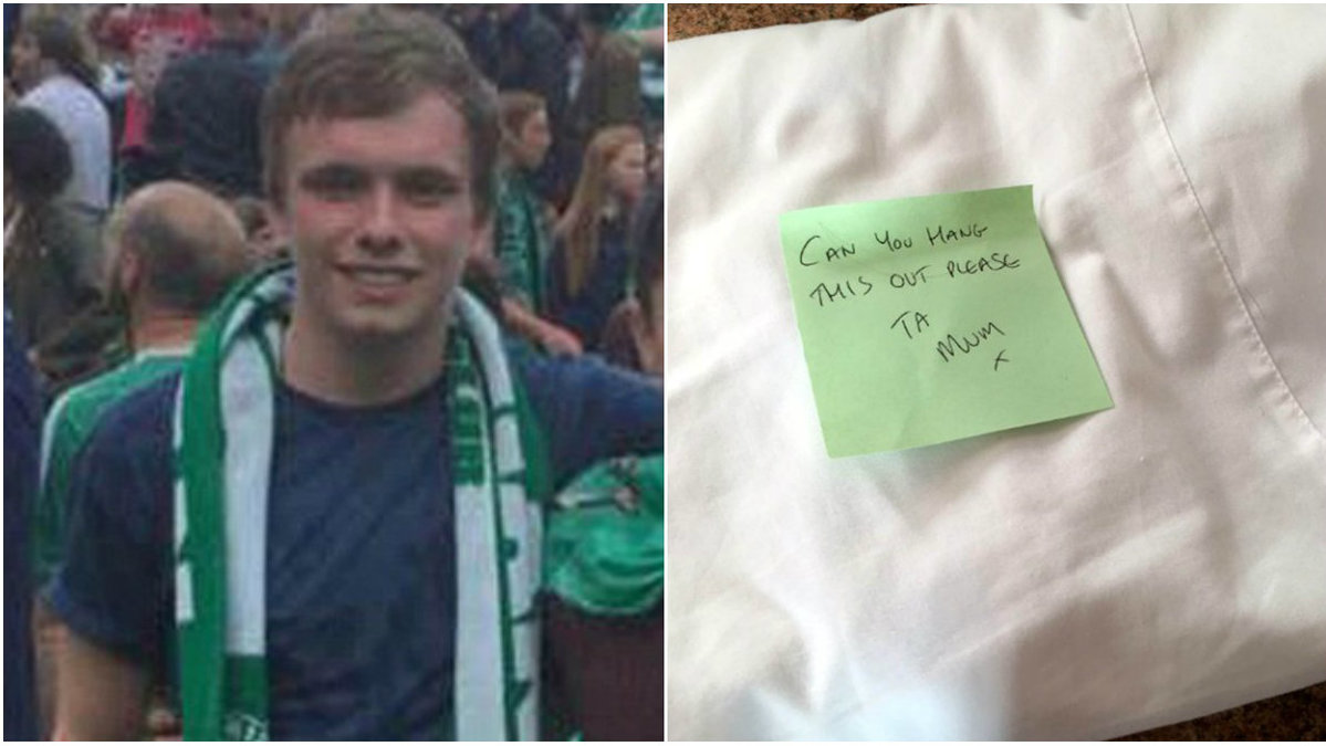 Mamman ville att sonen skulle hjälpa till – det blev inte som planerat