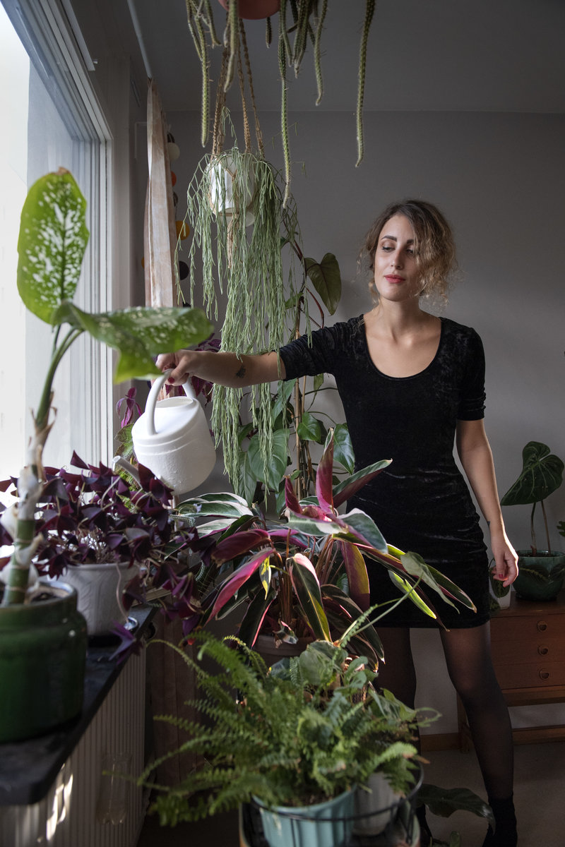 Rädda krukväxterna i vinter – så viktigt att skydda dem från torr luft