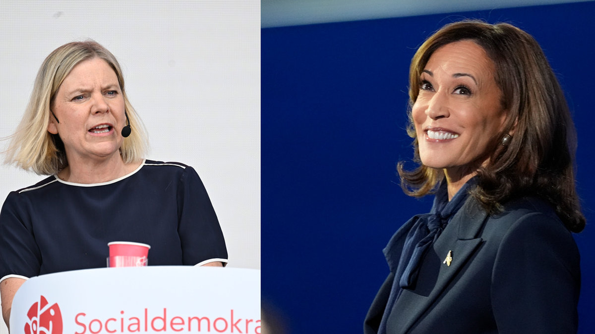 Andersson inspirerad av Harris humor: "Spännande"