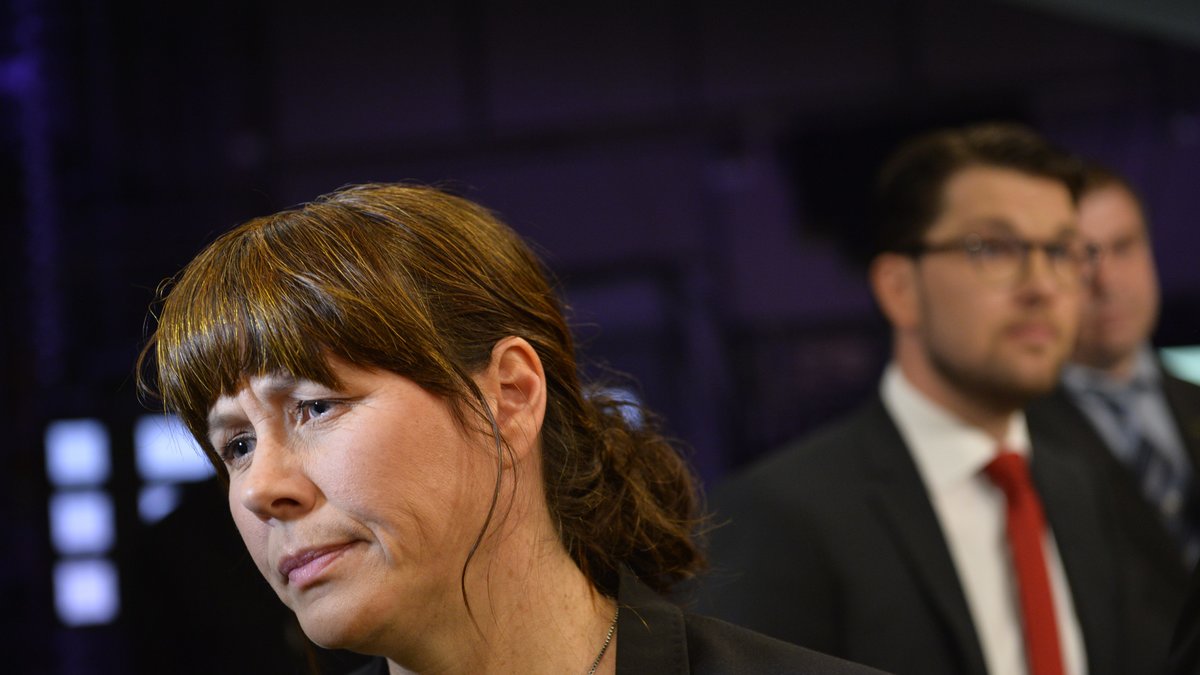 Miljöpartiets ledare kallade romer för "zigenare" i intervju efter debatten