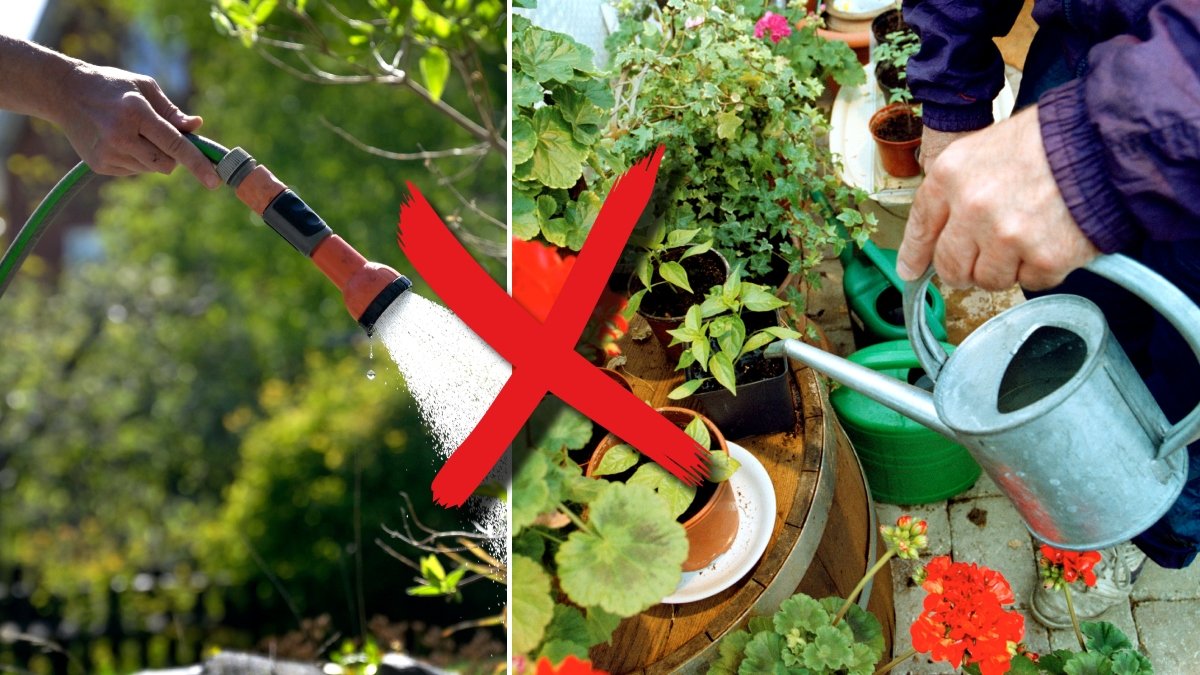 Nya VA-regler föreslås – det kan bli straffbart 2026