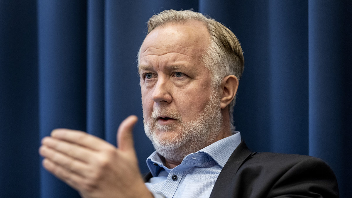 Regeringen vill införa obligatorisk "Sverigekurs"