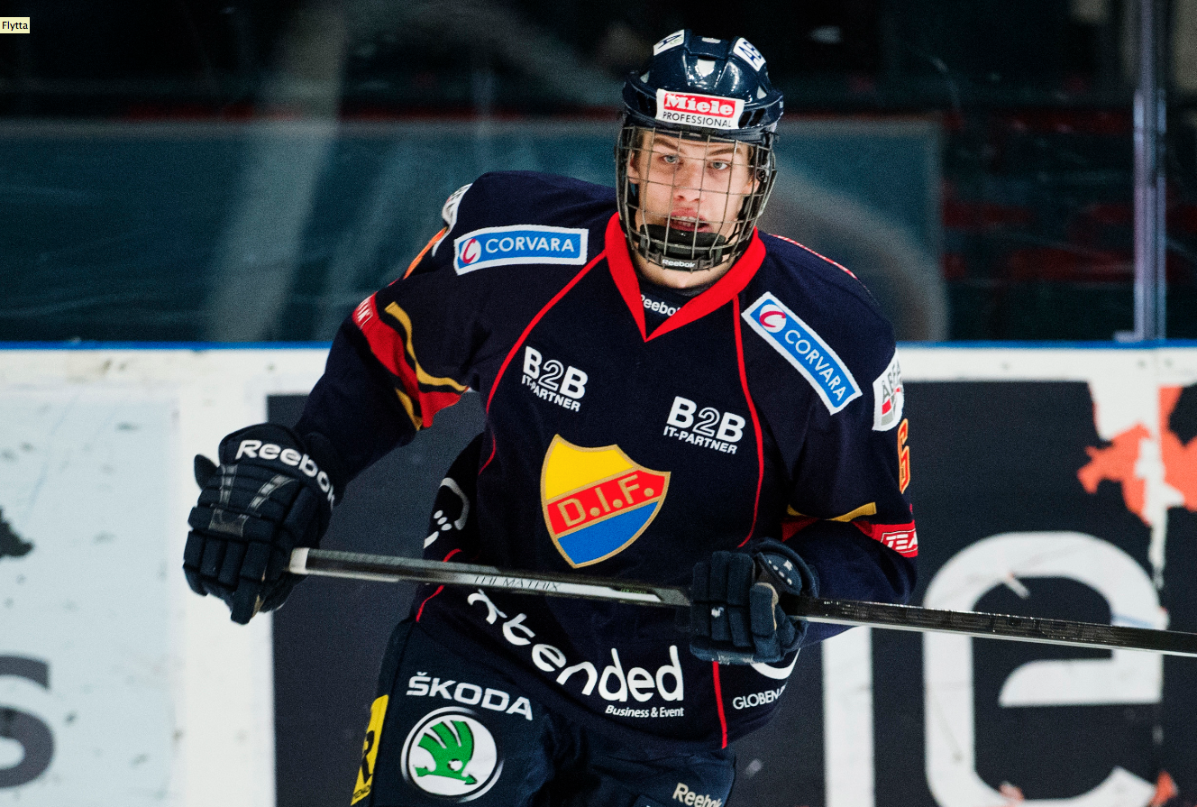 Sveriges 10 sexigaste hockeyspelare