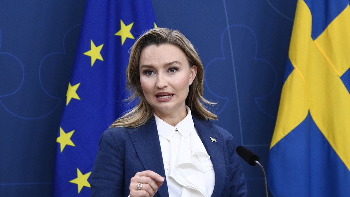 Regeringen vill ha bort dyra elavtal