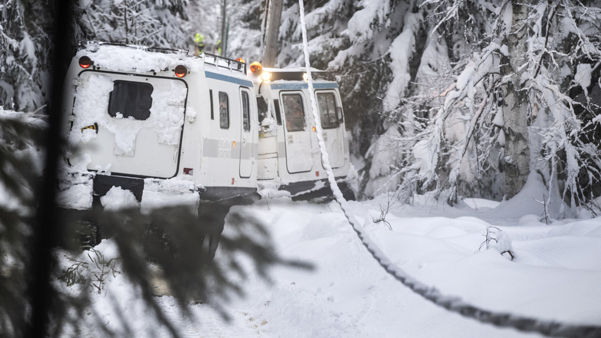 Ellevio om elkaoset: ”Värsta vi sett sedan Gudrun”