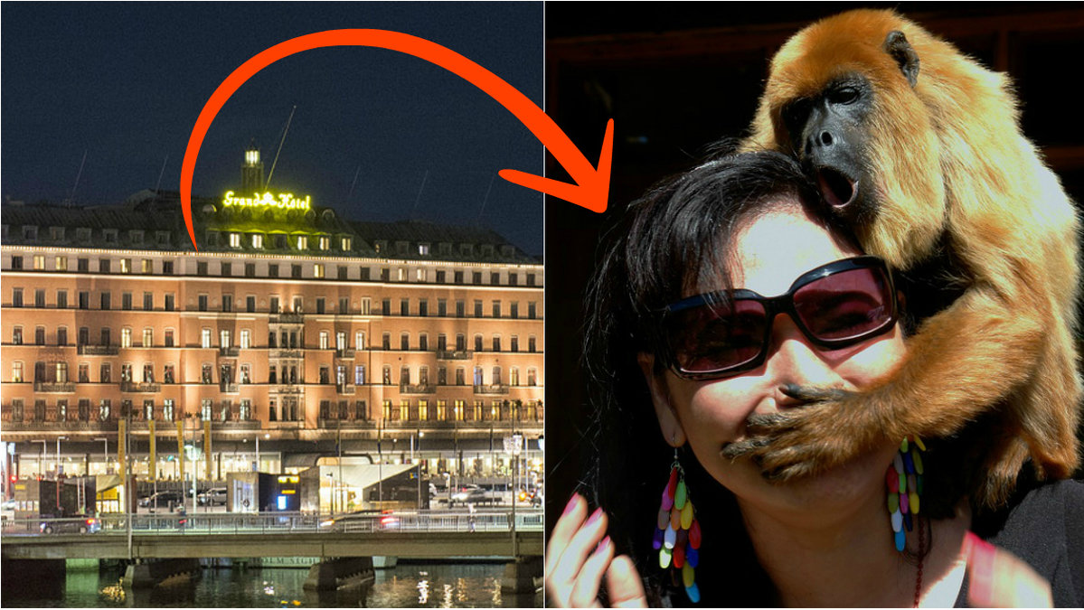 5 hemligheter femstjärniga hotell inte vill att du ska veta