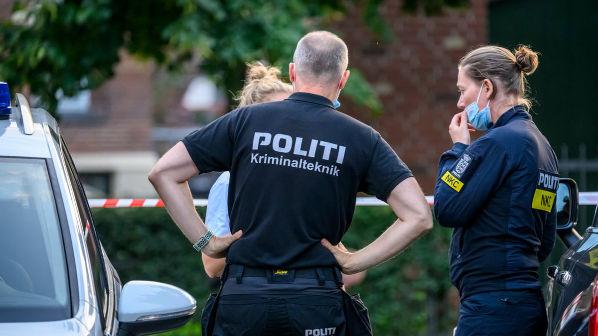 17 svenskar häktade för grova brott i Danmark