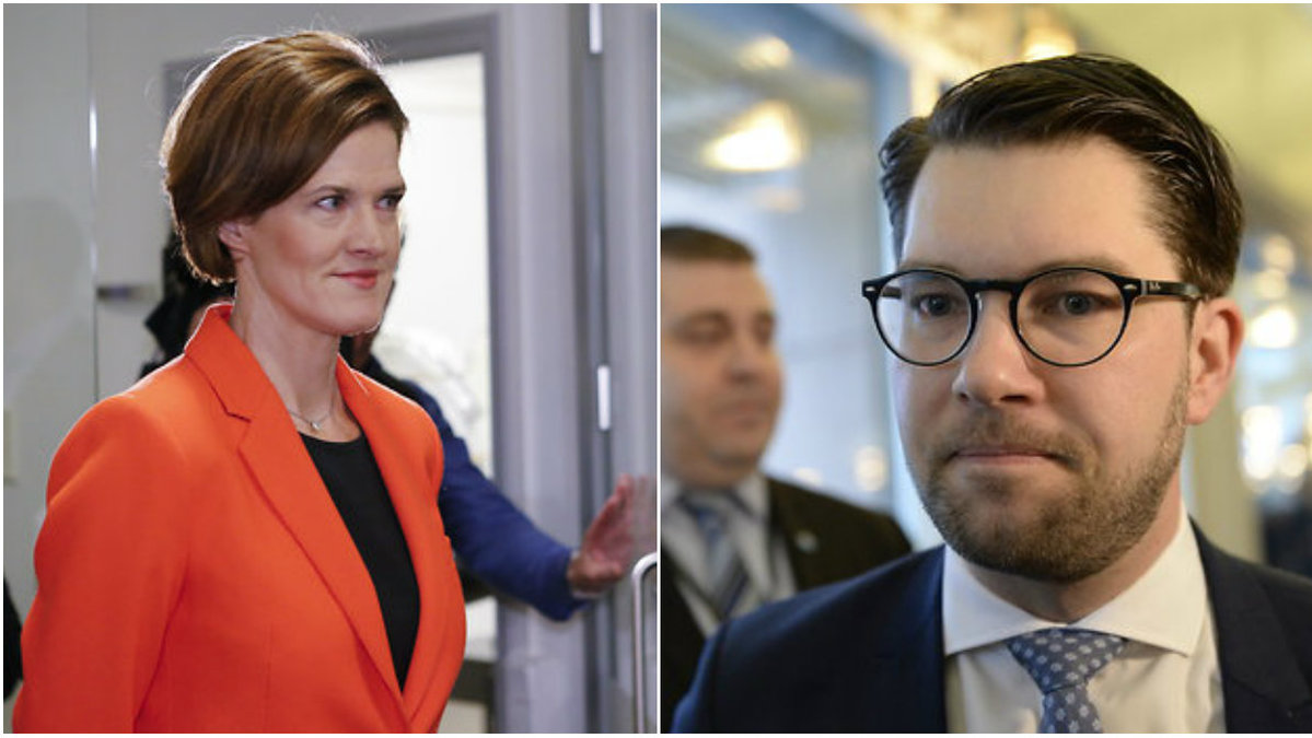 Ledande moderater: Vi vill regera med SD