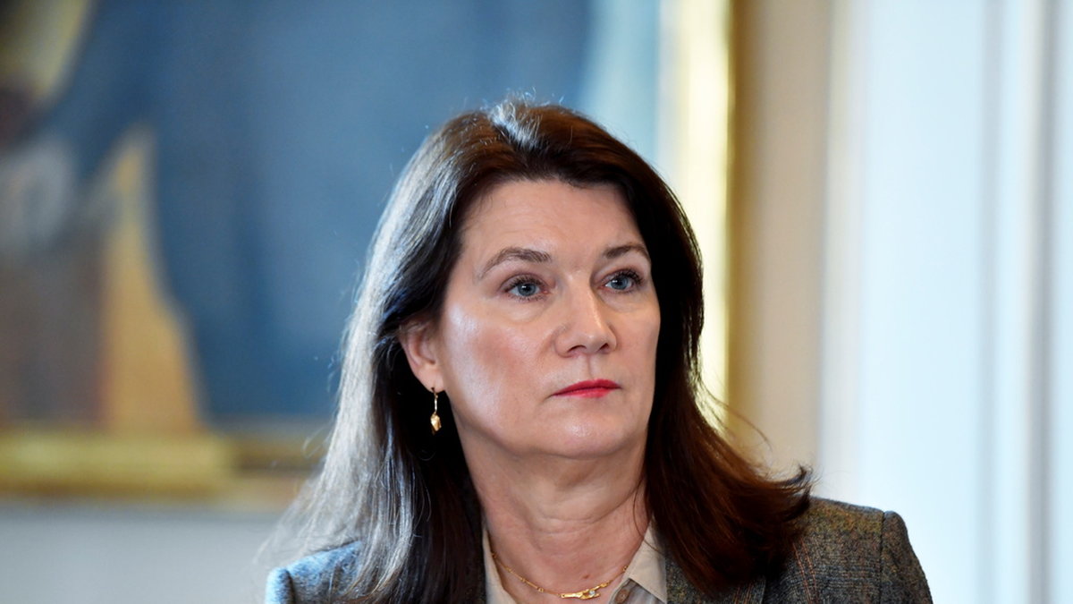 Ann Linde attackerades av våldsman