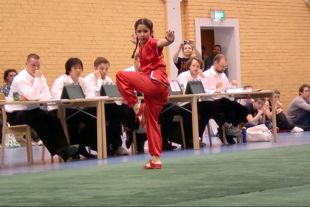 Resultat från SM i Wushu