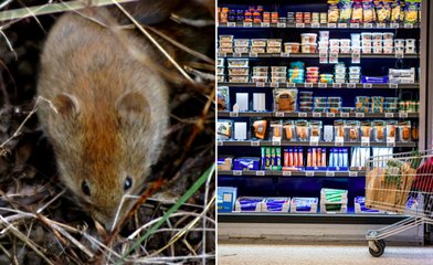 Ica stänger populära restaurangen – här är anledningen