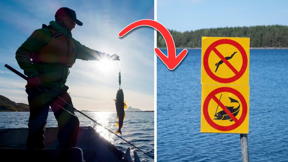 Nytt besked om strömmingen – det här gäller för fiskare