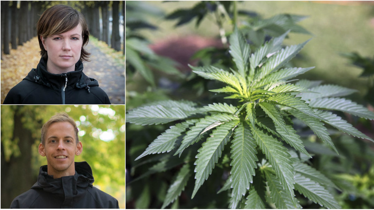 Förbud mot cannabisolja gynnar bara kvacksalvare