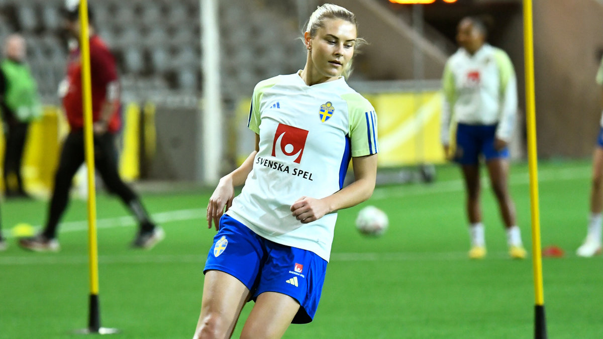 Nildén missar EM-kvalmatcherna