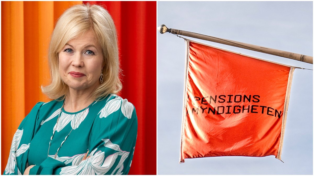 Allt om Anna Pettersson Westerberg: Gd på Pensionsmyndigheten
