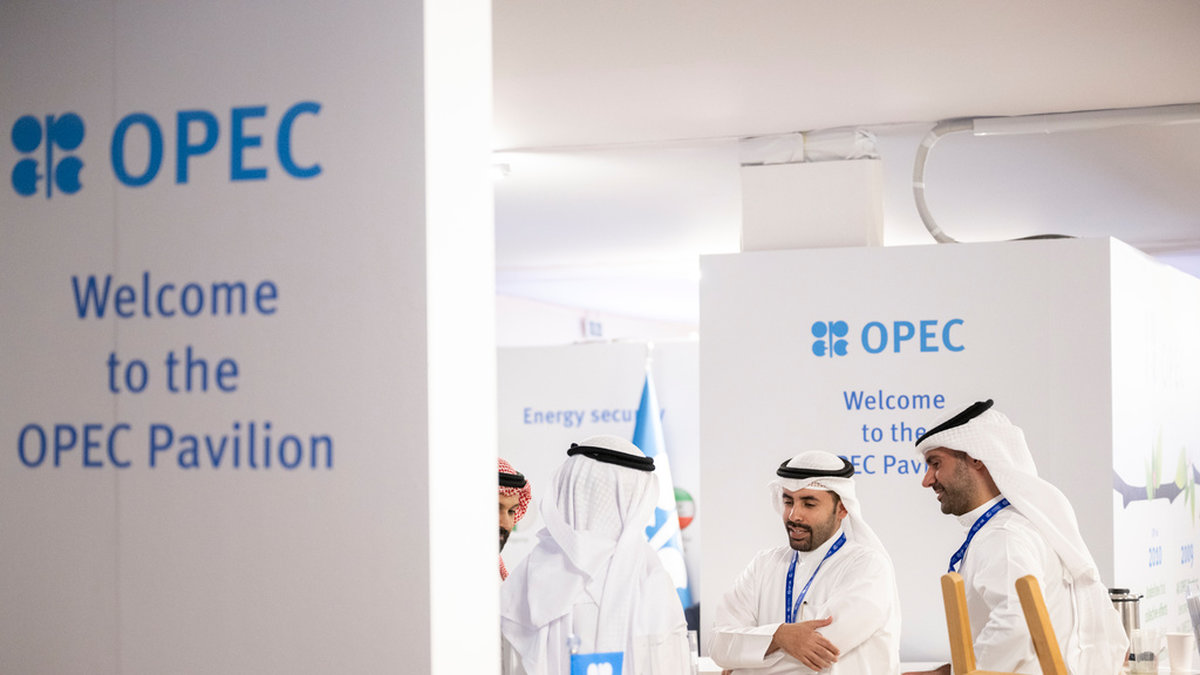 Sänkt prognos från Opec