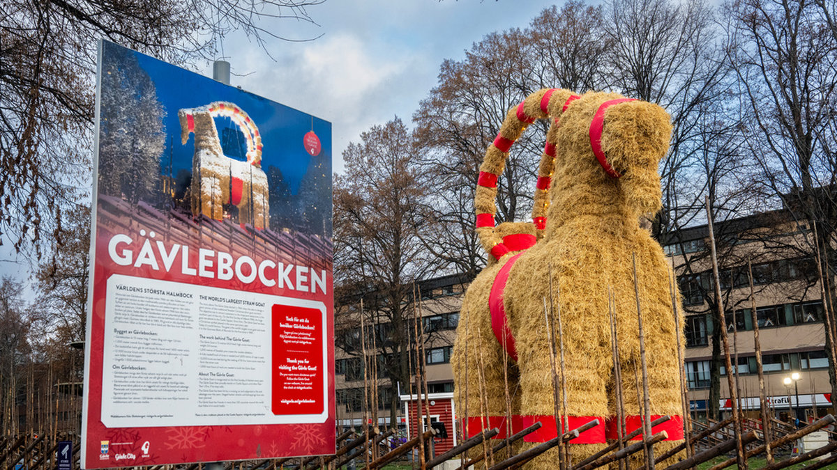 Gävlebocken på plats igen