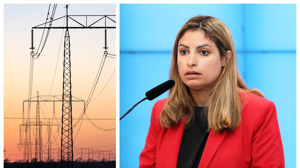 Så vill Vänsterpartiet lösa energikrisen: "Inte svårt"