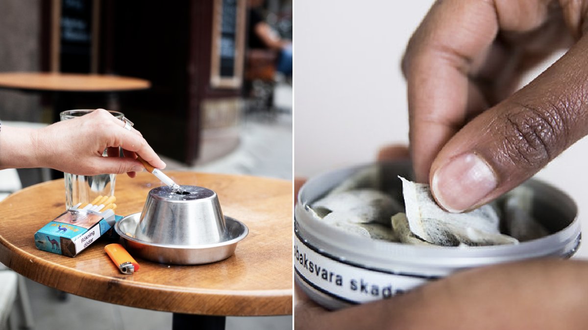 Skatten på snus sänks 2024 – så mycket billigare blir en dosa