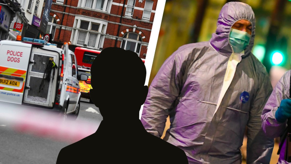 Misstänkta terrordådet i London – här är allt vi vet
