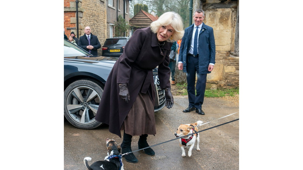 Kungligt: Bye, bye corgis – vov vov jack russells