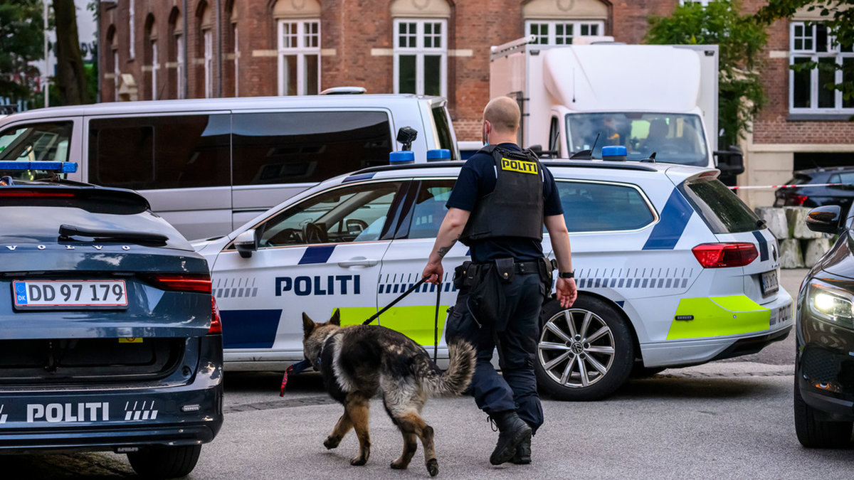 Klart: Svensk polis flyttar över till Danmark