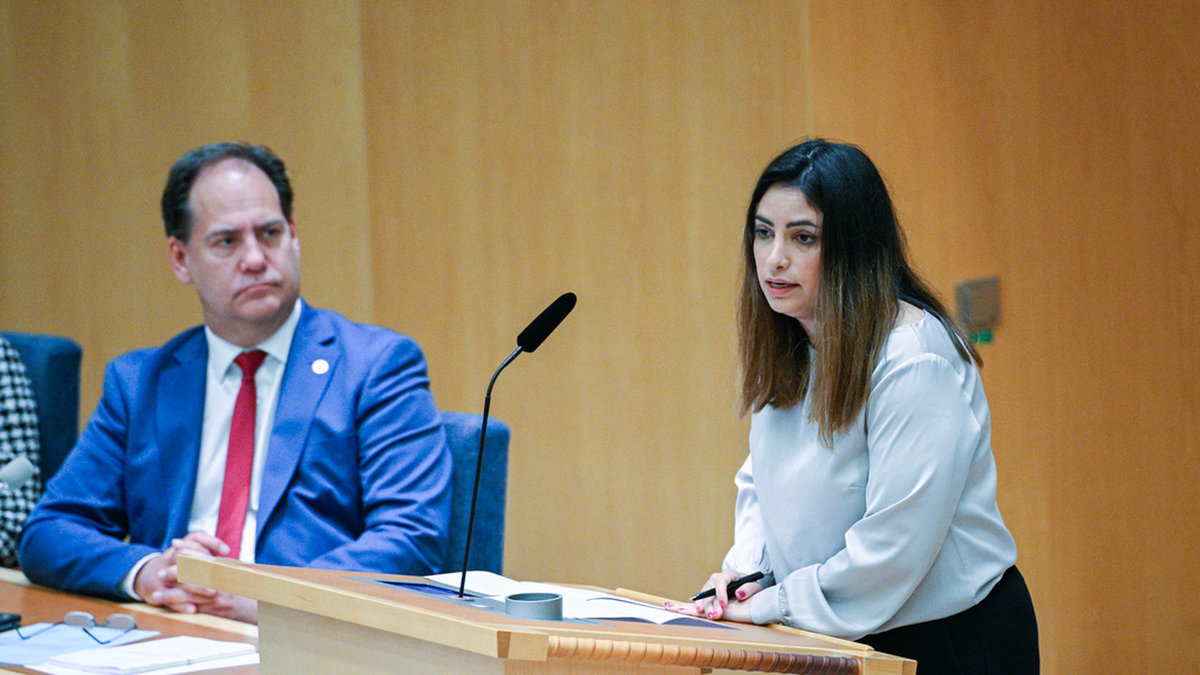 Dadgostar ger en släng till "falukorvsviftaren"