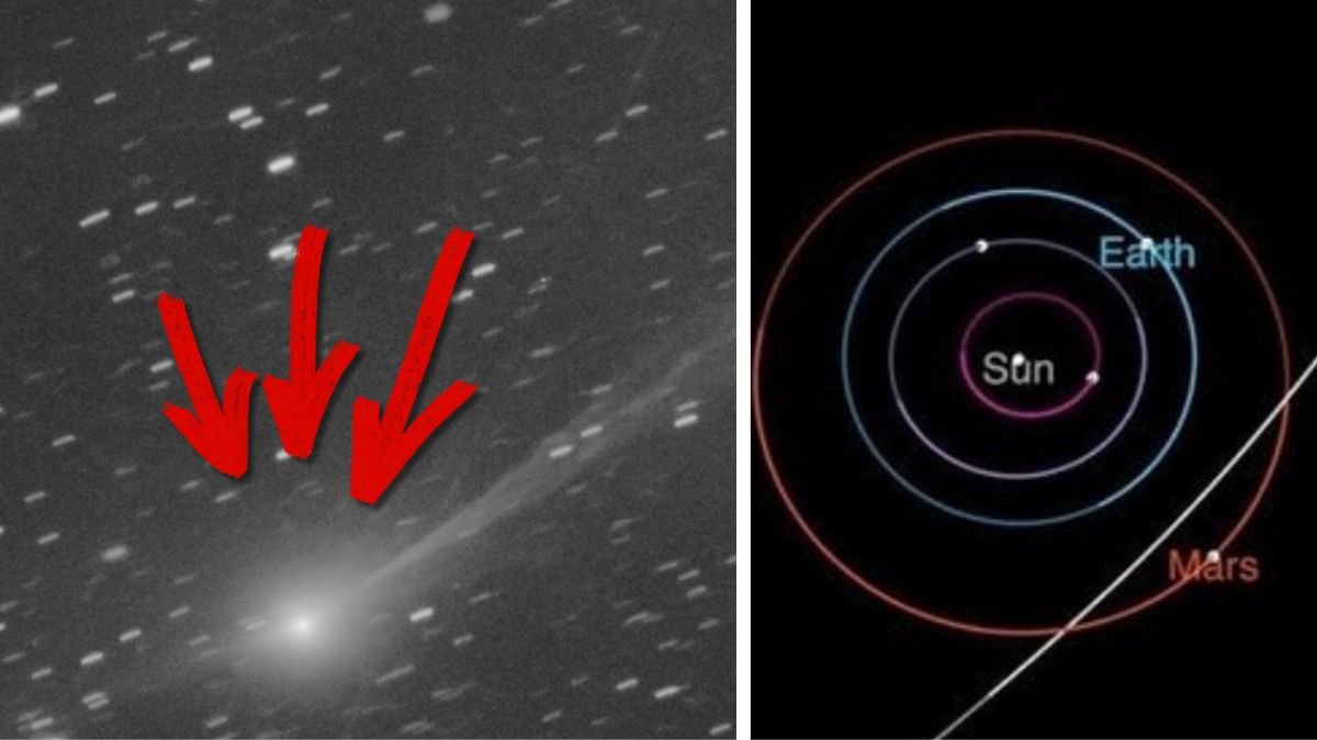 Sällsynt besökare i vårt solsystem – nya bilder visar