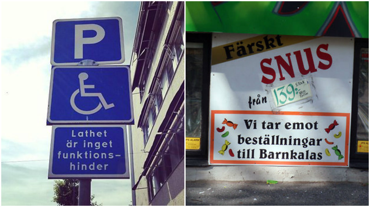 skylt - Nyheter, artiklar, reportage och video - Nyheter24