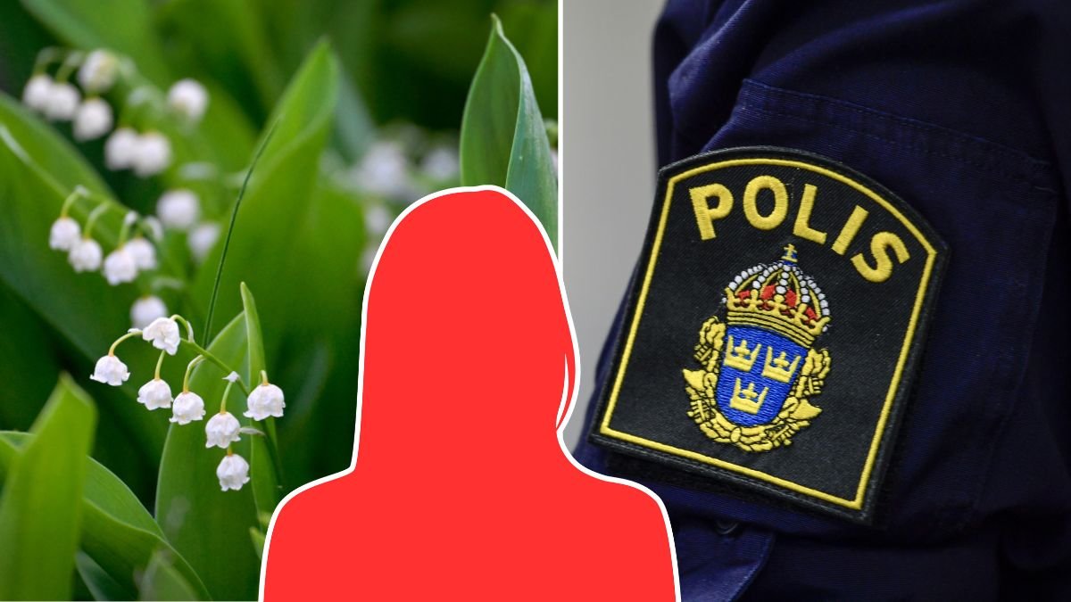 Kvinna plockade fridlyst blomma – får böta 5 000 kronor