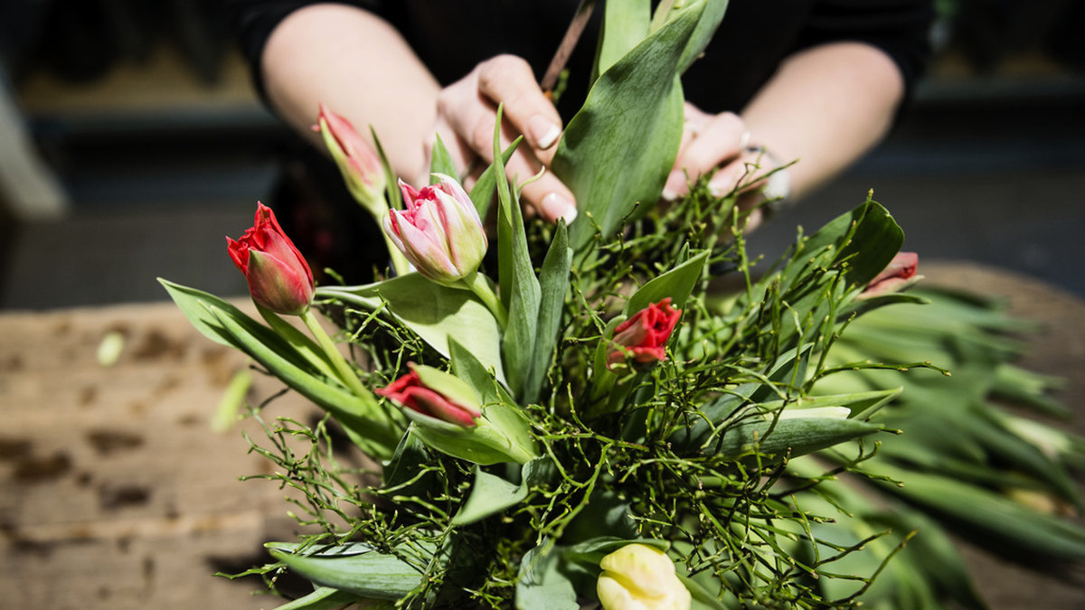 Visset resultat för Euroflorist
