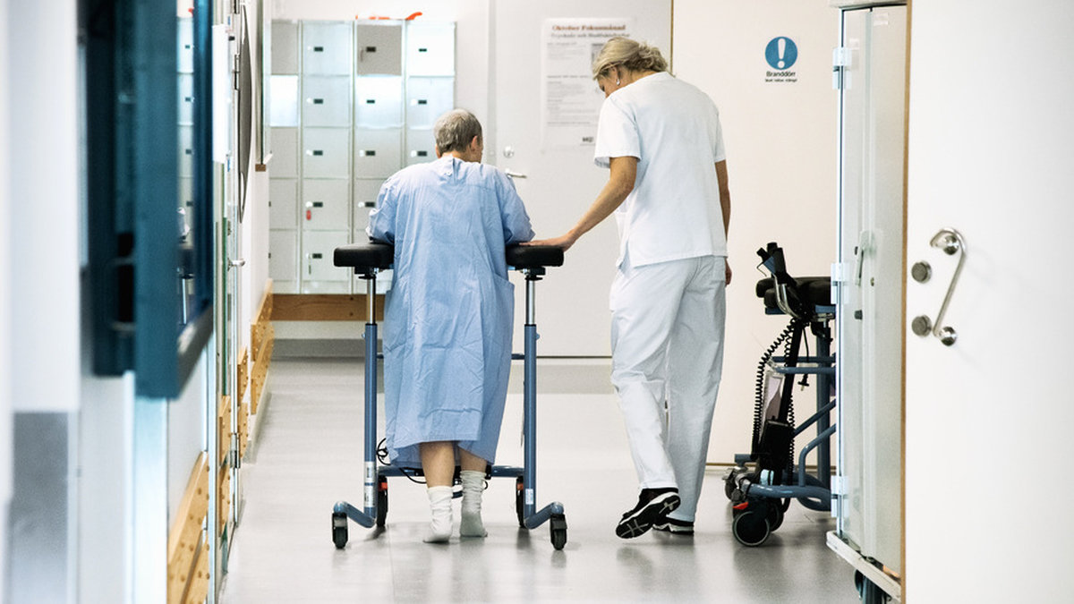 Vård, skola, it – det ger ofta jobbstudiestöd