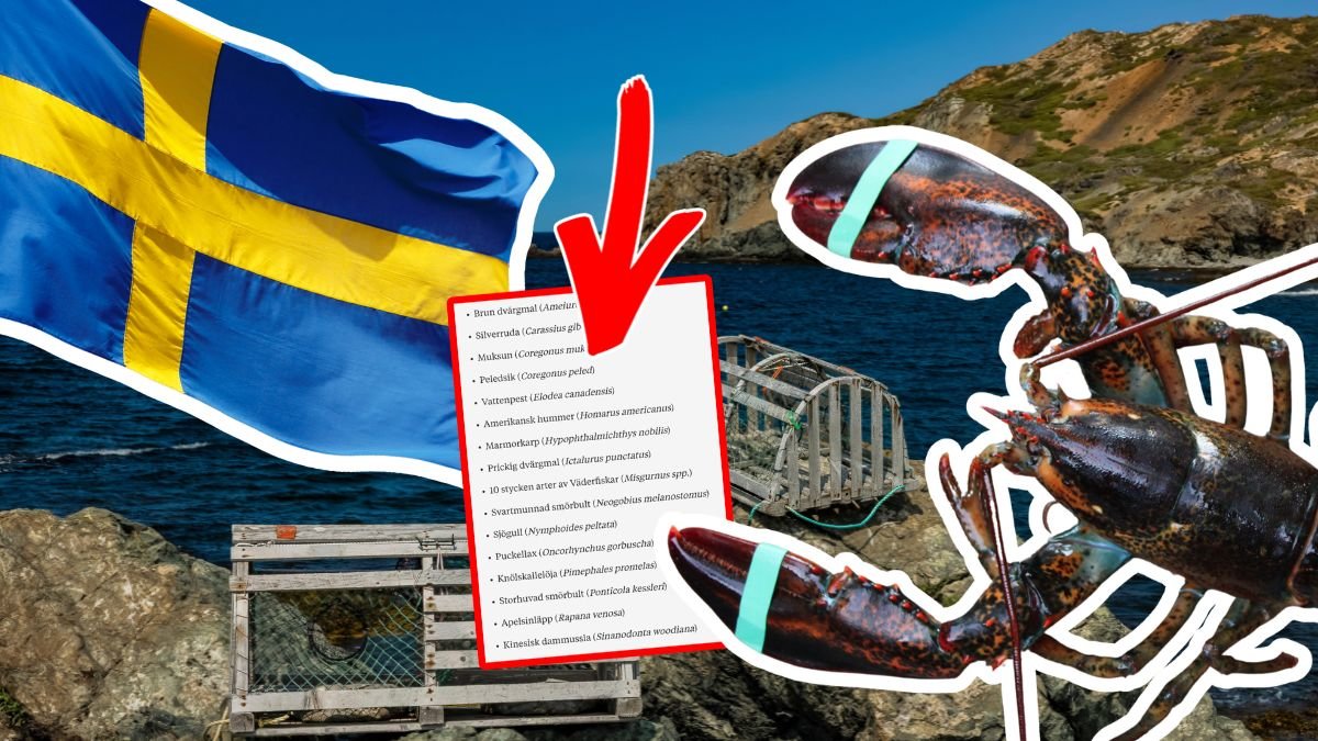 23 djur på ny förbudslista – det gäller från 15 maj