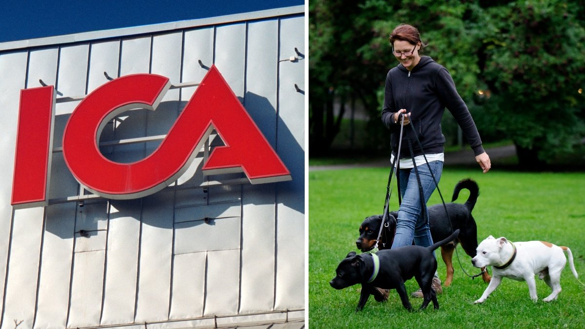 Ica:s drag får hundägare att se rött: "Hjälper inte"