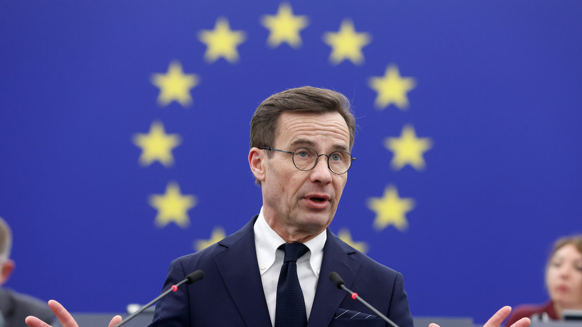 "Sverige har en normal nordisk regering"