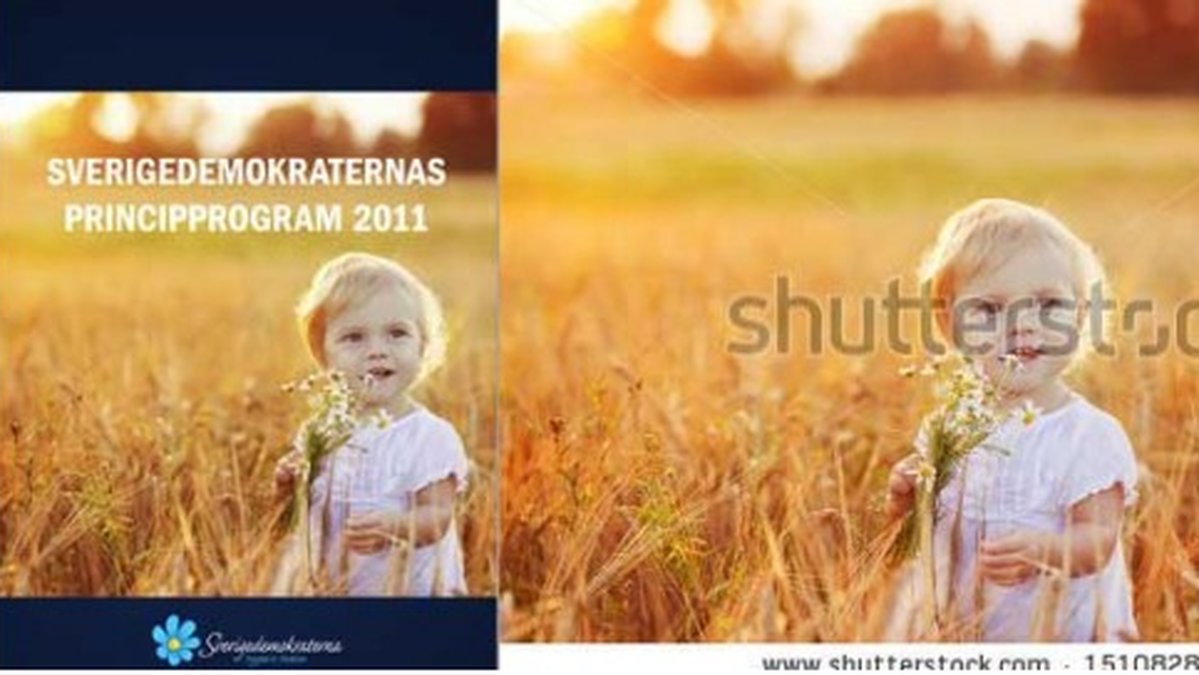 SD:s propagandabilder hämtade från alla länder – utom Sverige