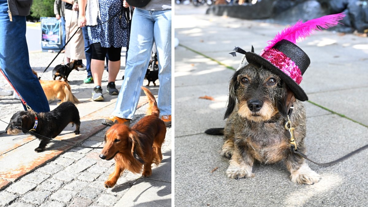 900 taxar tågade i Stockholm – orsakade stora bilköer