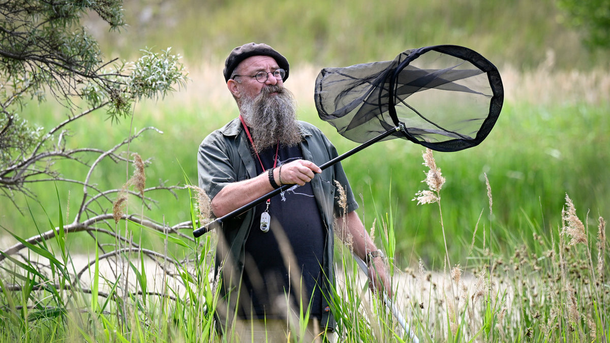 Expert sågar metod mot mygg