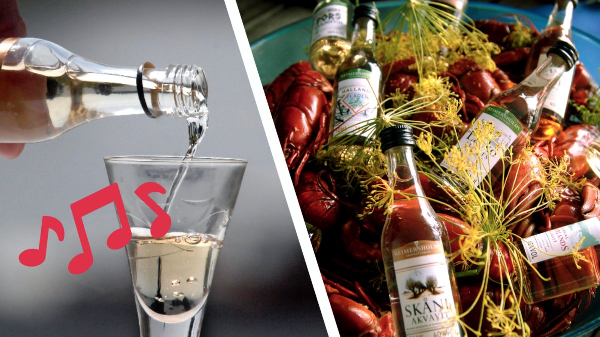 10 roliga och bra snapsvisor till kräftskivan